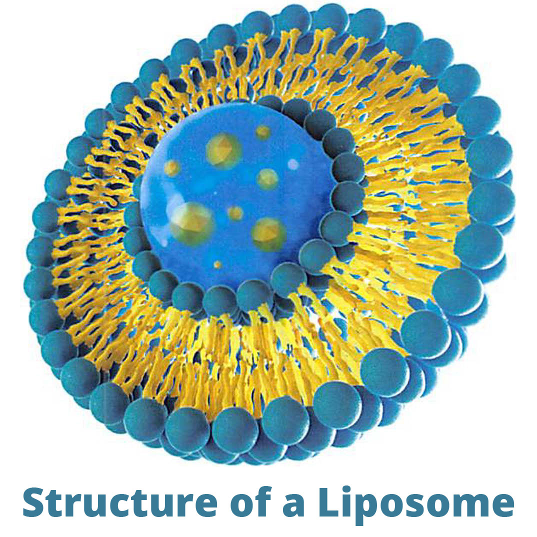 Glutathione IV Therapy | Neuron Medical Corporation | Thousand Oaks, CA